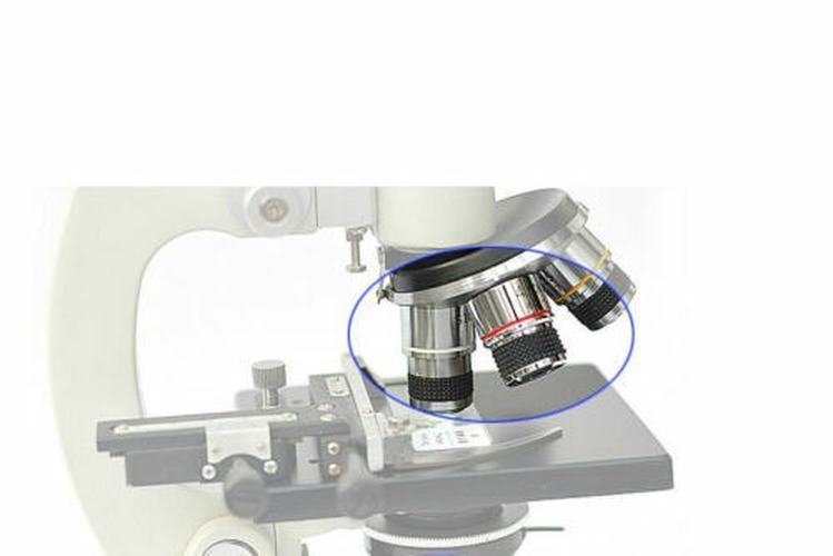 New Biological Microscope 4X Achromatic Objective Lens ProScope | eBay