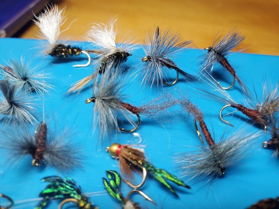 Isonychia Life Cycle Fly Selection, Slate Drake Fly Selection 20 Flies ...