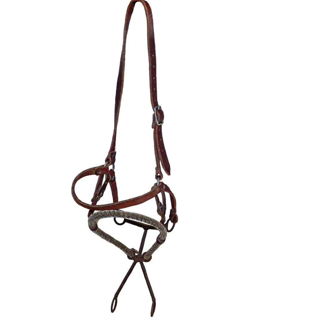 Hackamore Training