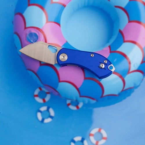 Giant Mouse ACE Nibbler 2in N690 Steel Blade Blue Aluminum Handles | eBay