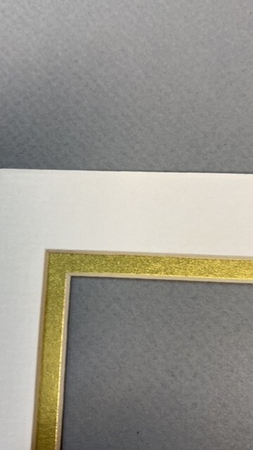 Picture Mat Double Mat 16x20 for 11x14 photo White with gold liner mat ...