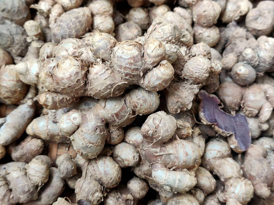 BLACK GINGER BULBS KAEMPFERIA PARVIFLORA PLANT HERB 1 KG. | eBay