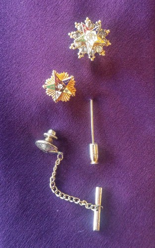 Masonic Order Eastern Star Multicolor Stick Pin with Rhinestones & Tie ...