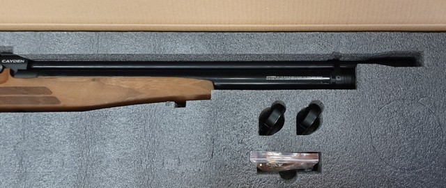 Benjamin Cayden BPC22W .22-Caliber PCP-Powered Multi-Shot Air Rifle for ...