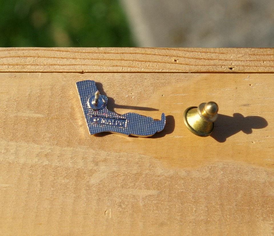 Florida FL State Silver Tone Metal & Enamel 1 1/8" Lapel Pin Pinback | eBay