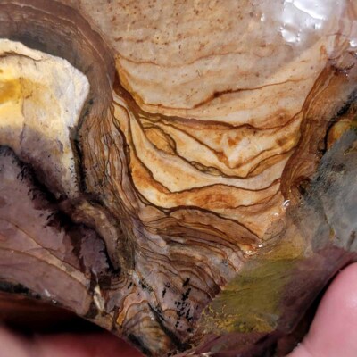 RARE Classic Oregon Biggs Picture Jasper Rough Chunk! | eBay