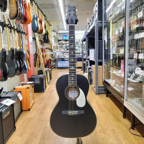 PRS SE P20 Parlor Acoustic Guitar Bird Inlay Soft Case Included | eBay