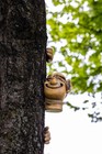 Garden Elf Tree Peeker Outdoor Trunk Decor Branch Hugger Ornament ...