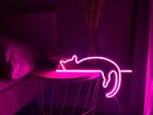 cat neon sign art decor Neon light wall art signs cute cat decor, gift ...