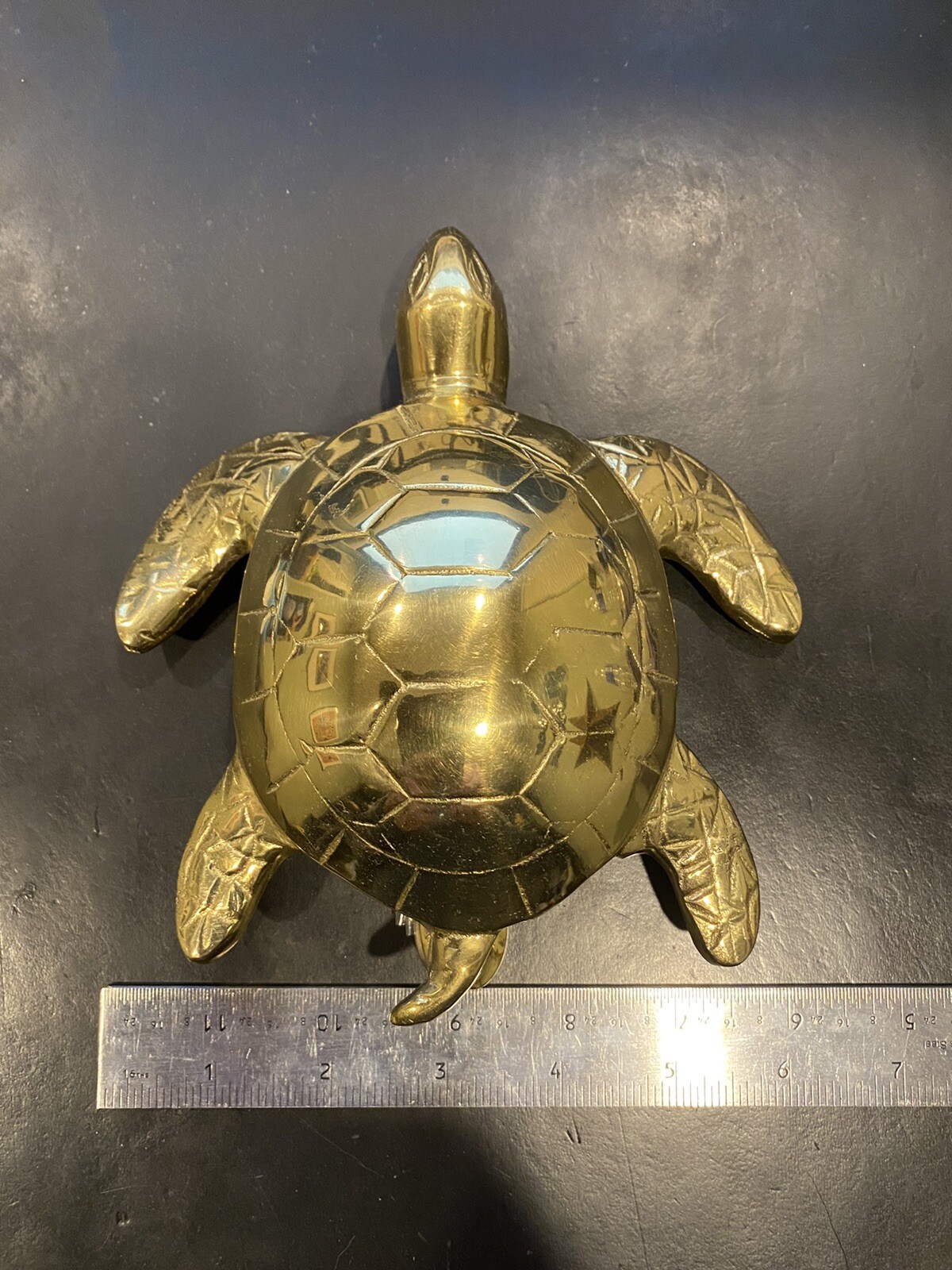 Brand New Solid Brass Sea Turtle Door Knocker - Weighs 1.5 lbs | eBay