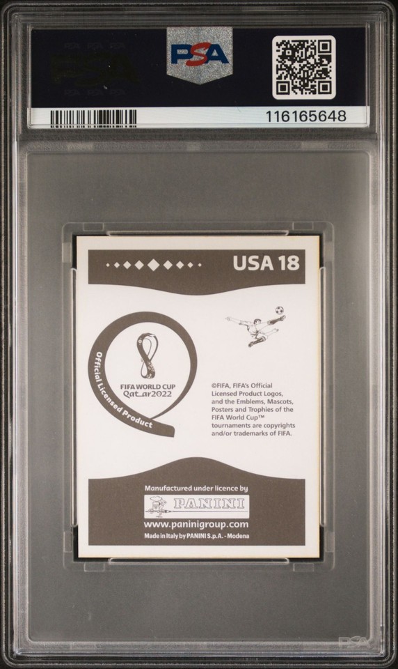2022 PANINI FIFA WORLD CUP STICKER USA18 CHRISTIAN PULISIC GOLD BORDER ...