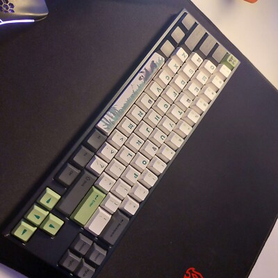 Ducky Miya Pro mechanical gaming keyboard Panda limited edition | eBay ...
