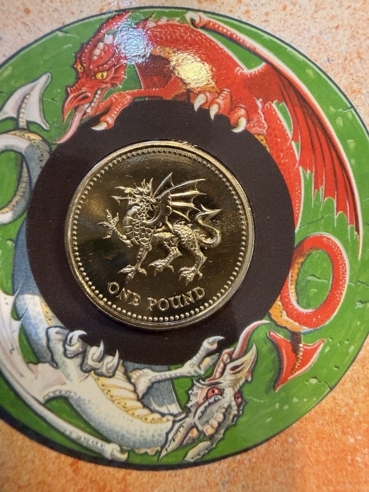 1995 SPECIMEN WALES DESIGN £1 B/UNC PACK - NT1705 | eBay