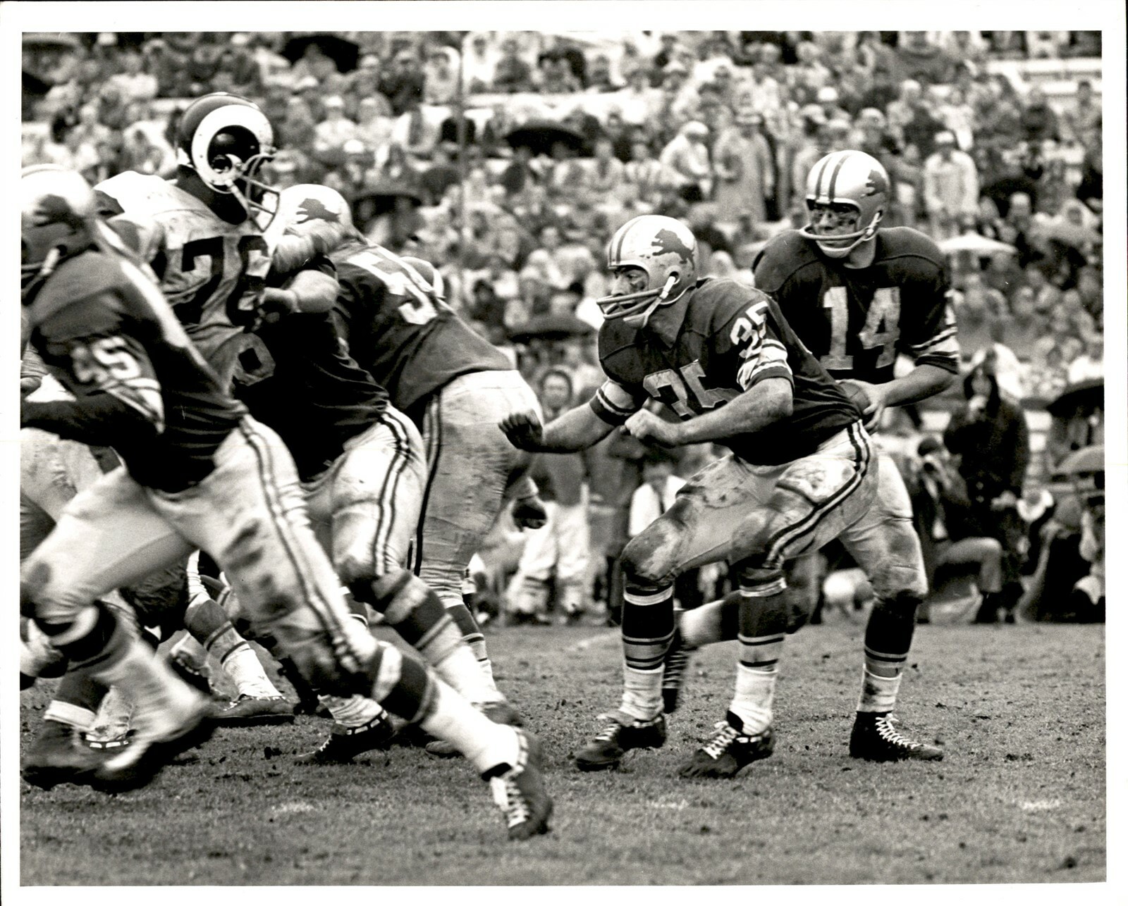 LD231 Original Darryl Norenberg Photo KARL SWEETAN LIONS v RAMS ROSEY ...