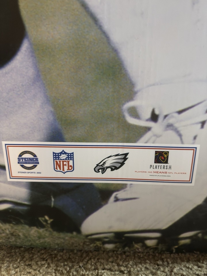 Y2K Donovan Mcnabb #5 Philadelphia Eagles 2002 NFL Cut Out Standee 6 FT ...