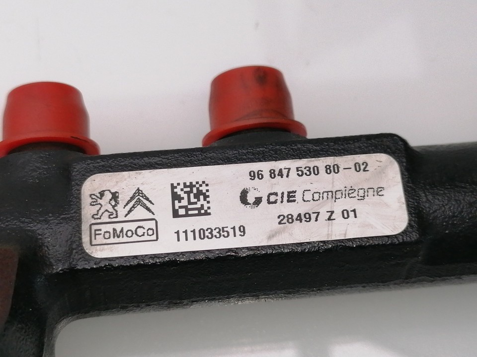 968475308002 RAMPE D´INJECTEUR / 111033519 / 560719 POUR CITROËN C4 ...