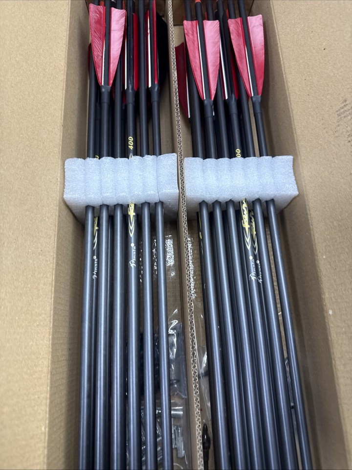 24 PCS Pinals Archery Carbon Arrows 300 340 400 500 Feather Arrow | eBay