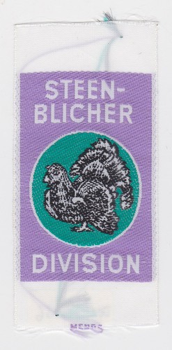 SCOUTS OF DENMARK - DANISH DGSA (MIXED) STEEN-BLICHER DIVISION SCOUT ...