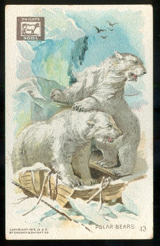 Polar Bear Card Arm & Hammer Soda 1915 Animal Series J11 Church ...