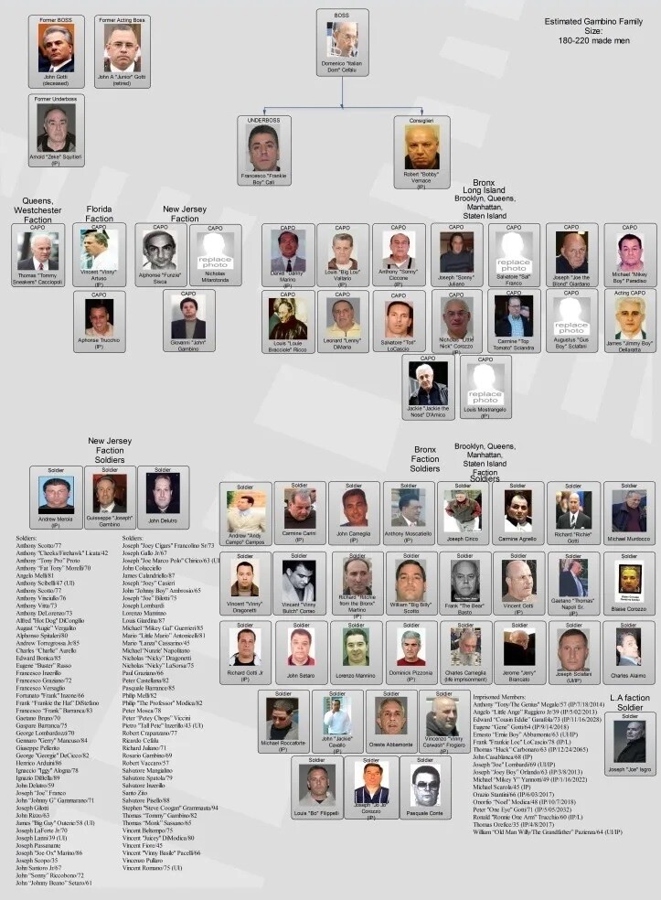 Gambino Family Chart Mafia Organized Crime Mob Mobster 8x10 PHOTO PRINT ...