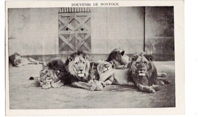 CPA PARIS SPECTACLE CIRQUE - Circus - SOUVENIR DE BOSTOCK Groupe de ...