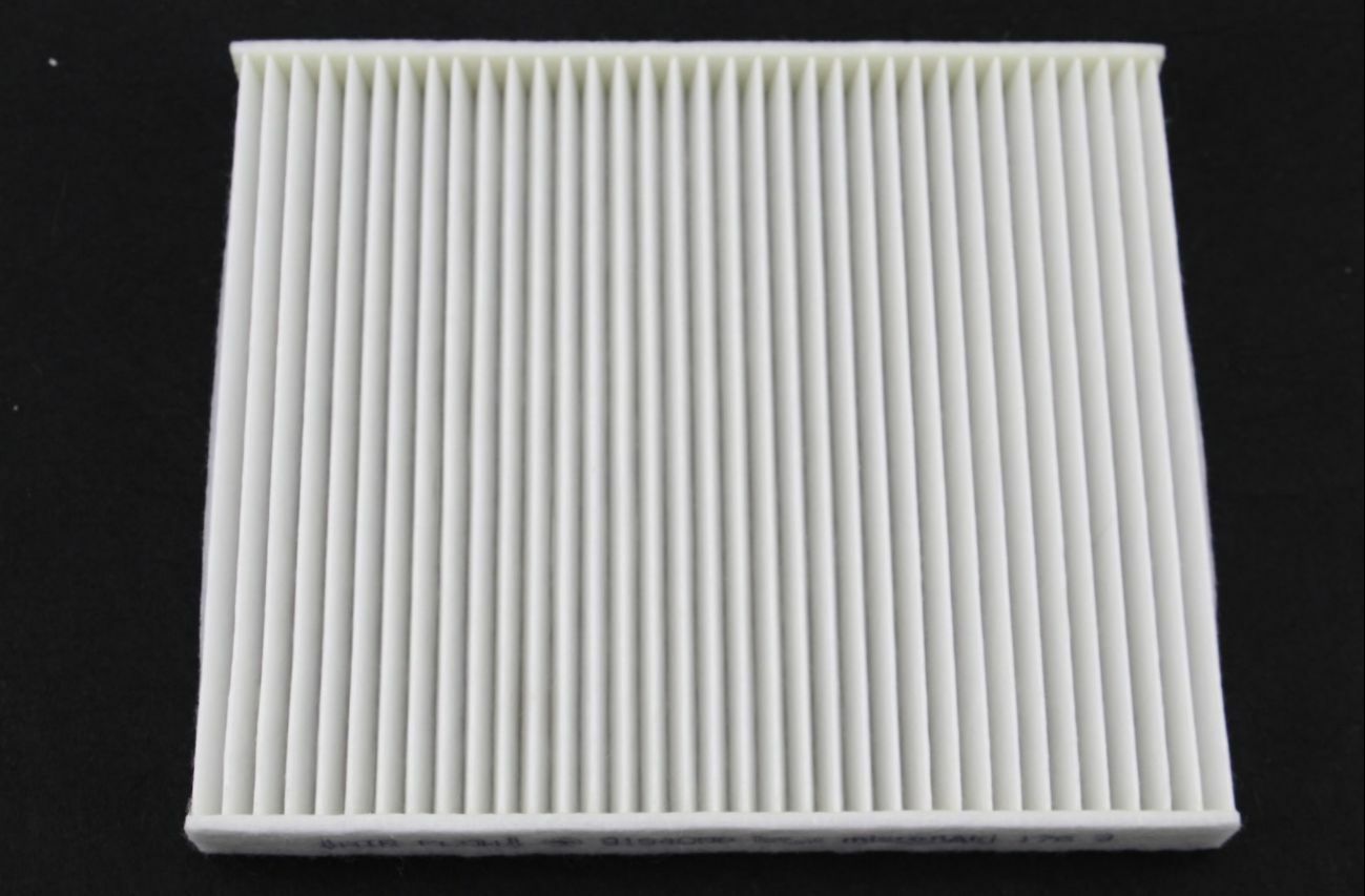 For BMW X5 E70 F15 F85 X6 E71 Cabin Air Filter 64319194098 64316945596 ...