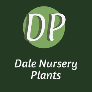 Dale Nursery plants | eBay Stores