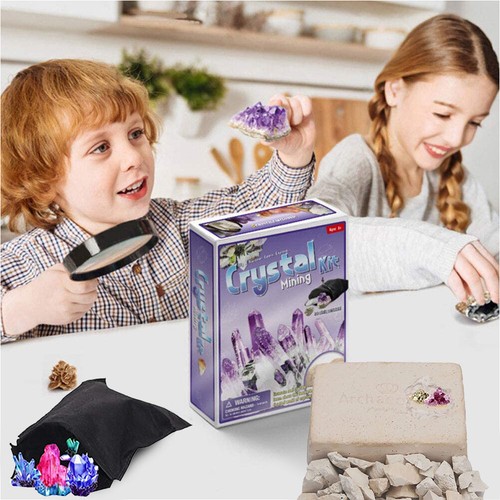 AU Kids Tone Dig Kit Fossils Digging And Excavation Kit DIY Set Mining ...