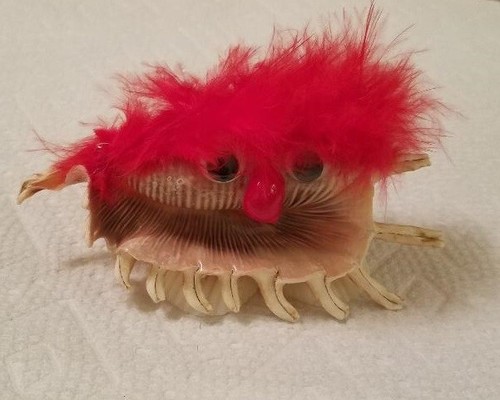 Millipede shell Monster w/ Red Hair 5" wide Folk Art Souvenirs Gift | eBay