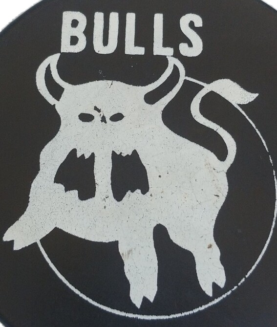 BIRMINGHAM BULLS VINTAGE Official 🏒 PUCK VICEROY MFG. MADE IN CANADA 🇨🇦 ...