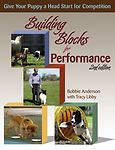 Building Blocks for Performance, 2nd Edition by Bobbie Anderson; Tracy ...