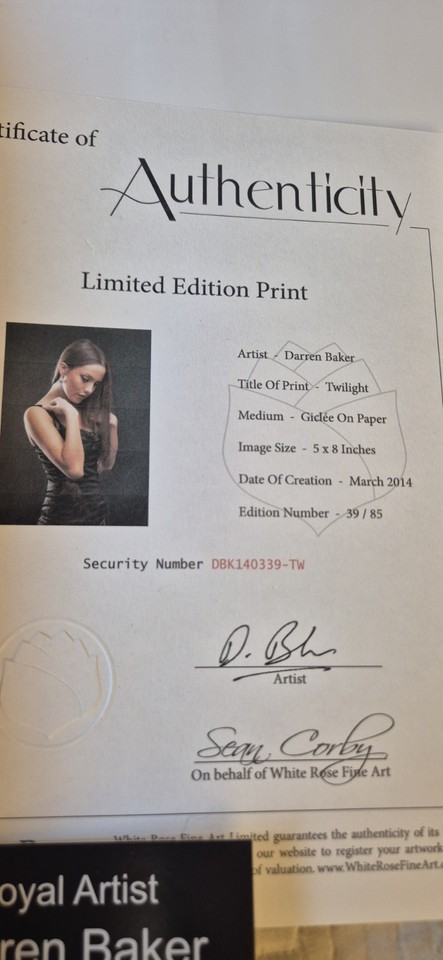 Royal Artist Darren Baker ART Signed Limited Edition Print - STOCK ...