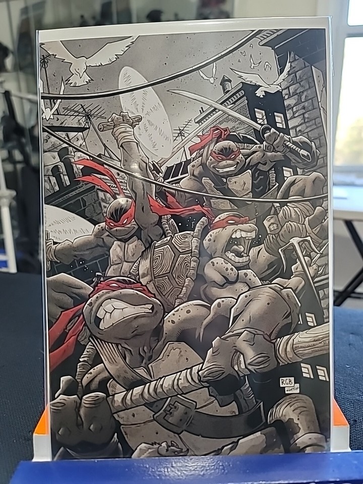 Teenage Mutant Ninja Turtles 1 Ryan G. Browne Cover Limited To 500 With ...
