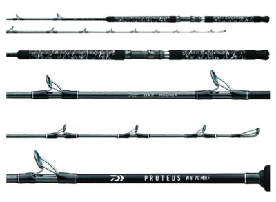 Daiwa PRWNC76HFS Proteus WN Boat Rods, 7'6" Med Heavy Action, Fast | eBay
