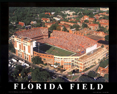 Florida Gators Football Field THE SWAMP Stadium Aerial View 22x28 ...