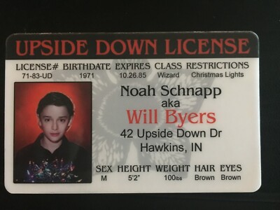 Stranger Things Will Byers Noah Schnapp Upside Down Drivers License ID ...