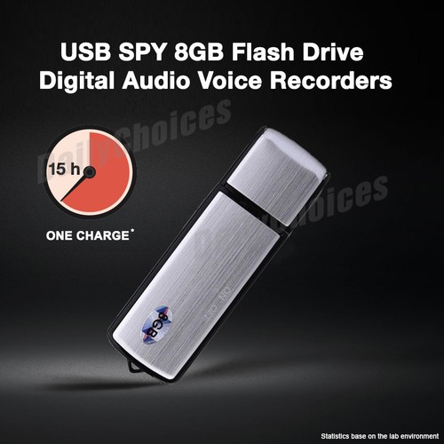 8GB USB Digital Sound Voice Recorder Audio Record Pen Dictaphone Memory ...