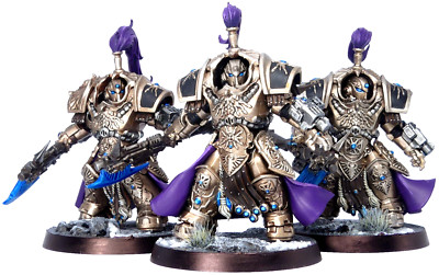 Warhammer 40K Adeptus Custodes Allarus Custodians Terminators | eBay