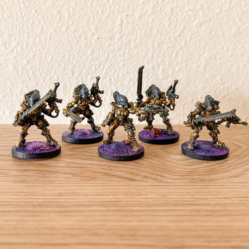 Warhammer 40k Aeldari - Painted Eldar Craftworlds Army - BoxedUp (250 ...