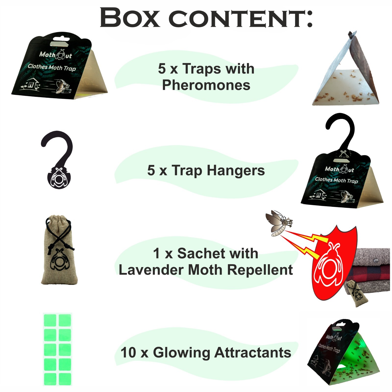 MothOut Pheromone Clothes Moth Traps, Carpet Moth Killer + Anti Moth ...