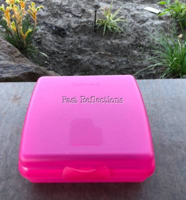 TUPPERWARE FUSCHIA PINK SANDWICH KEEPER LUNCH BOX | eBay