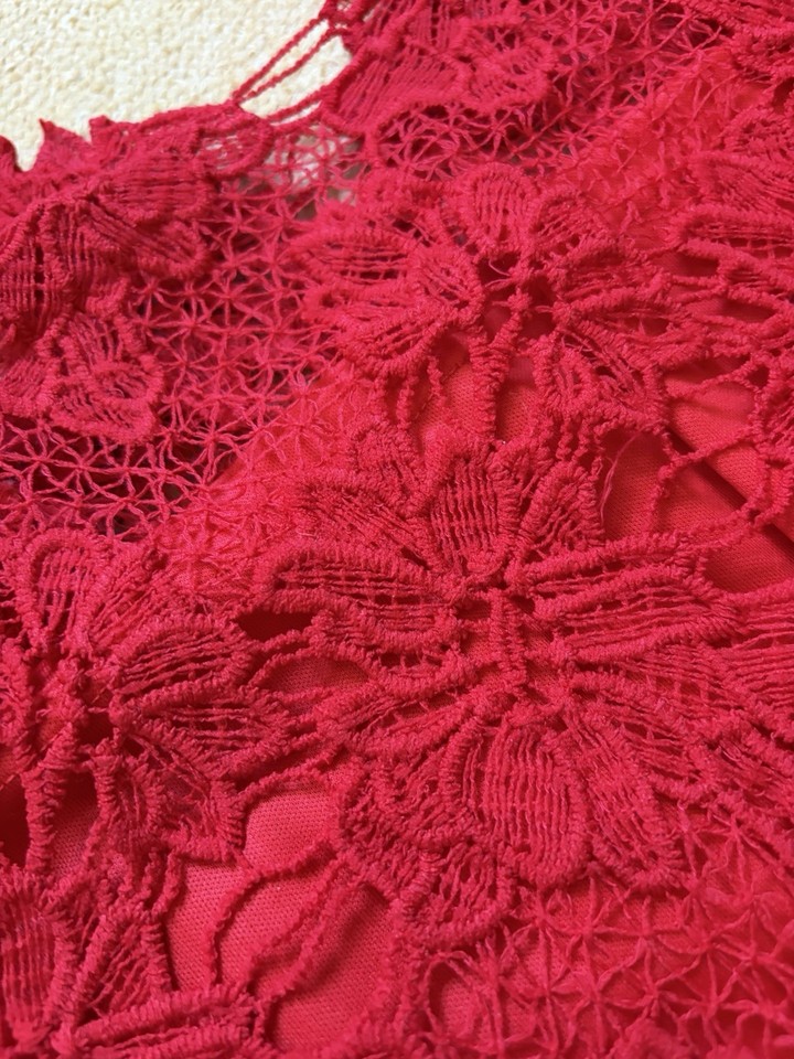 AX Paris Women’s Red Lace Dress Size 12 UK | eBay UK
