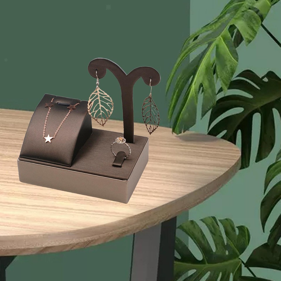 Jewelry Display Holder Earring Holder Organizer for Stud Earrings Chain ...