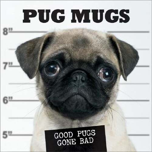 Pug Mugs: Good Pugs Gone Bad by Willow Creek Press: Used 9781595434395 ...