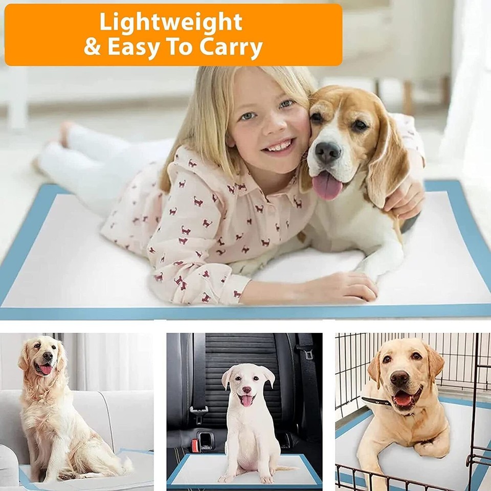 100 LARGE PUPPY TRAINING TRAINER PADS TOILET PEE WEE POO DOG CAT MATS ...
