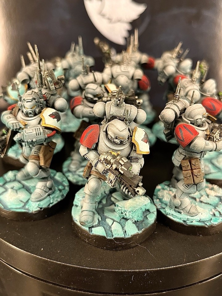 Warhammer 40k Army Space Marines Space Wolves Pro Painted 10x ...