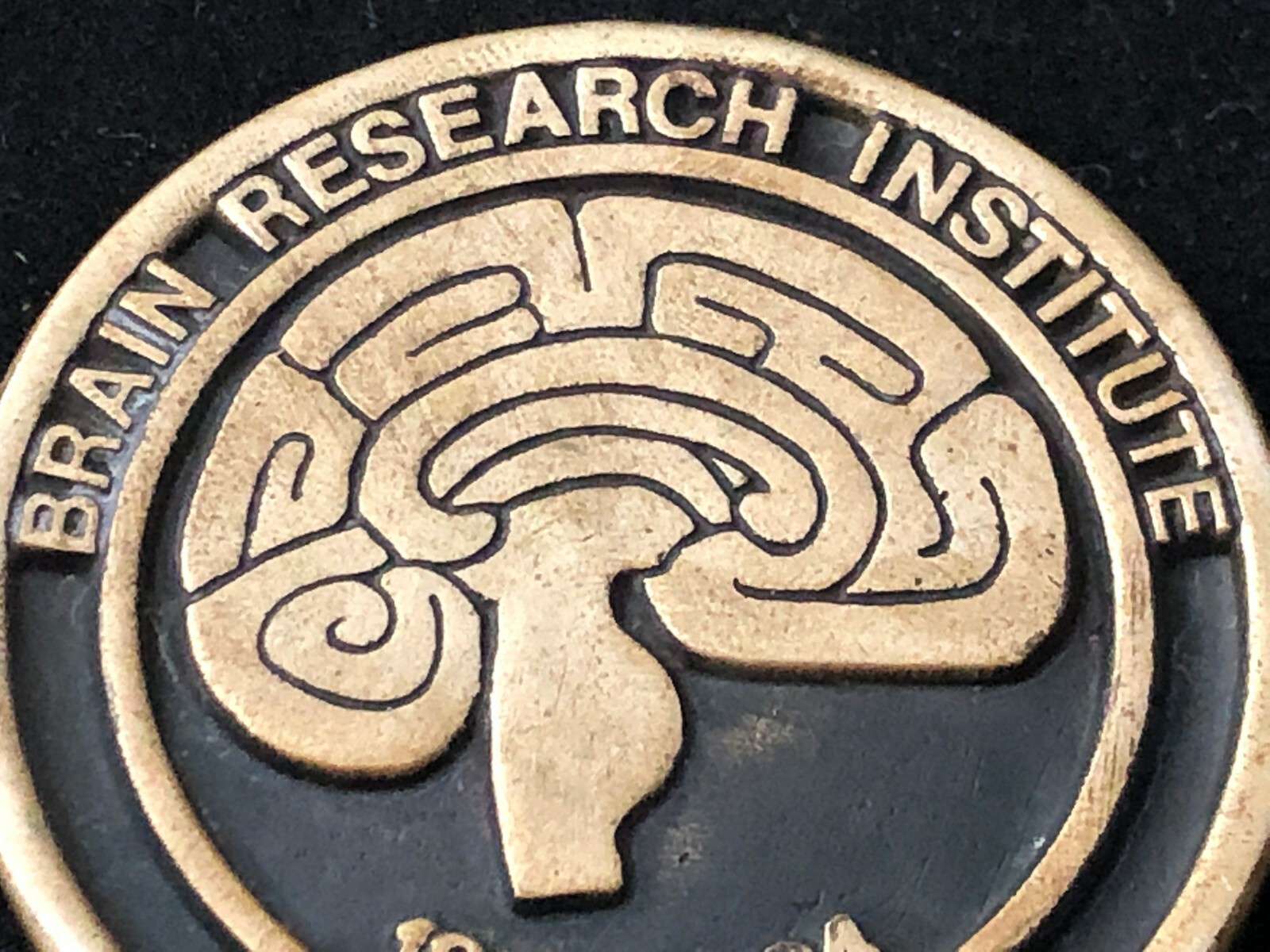 Vintage UCLA Brain Research Institute Medallion Two Sided Heavy ...