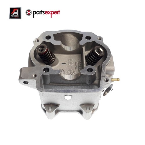 Neu OEM ACCESS Zylinderkopf RLX 320 / Triton Baja 300 (SM + Enduro ...