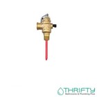 Pressure and Temperature Relief Valve HT55-1000KPA | eBay Australia