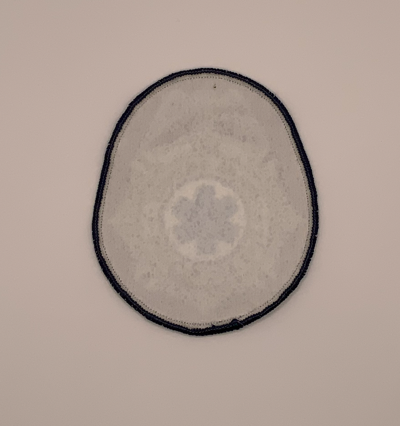 Coles District VFD Patch Prince William County VA EMT Station Was ...